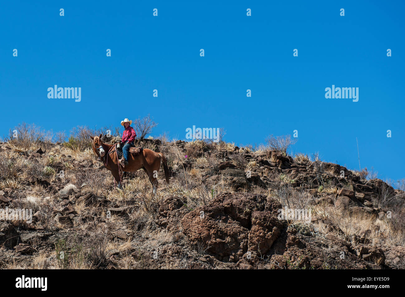 Horseback Riding In Big Bend Ranch State Park, Texas, Usa Stock Photo ...