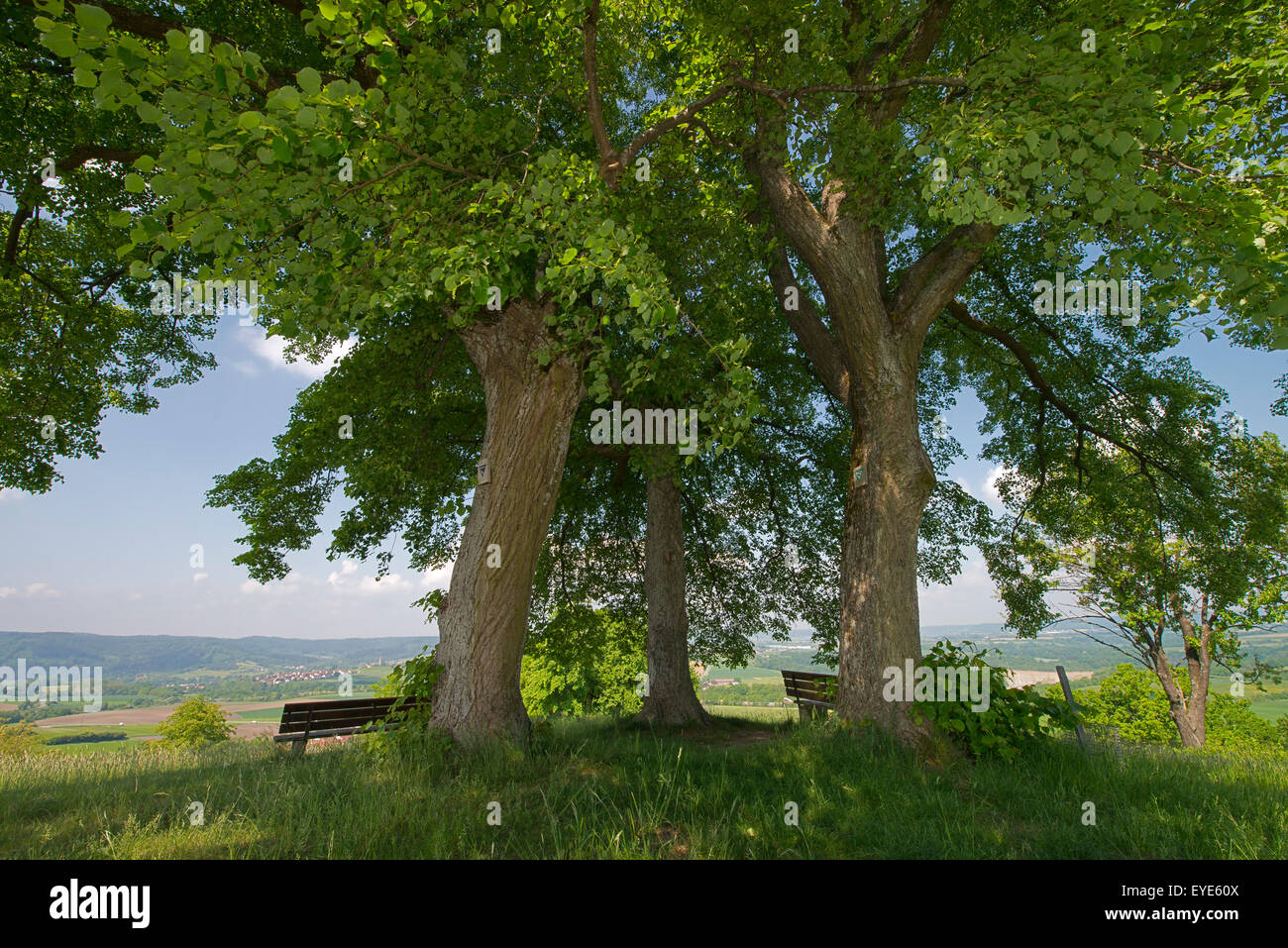 Lookout point underneath three linden trees, above Hirschfelden ...