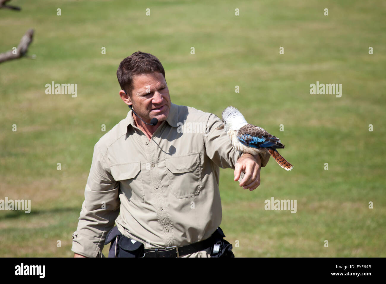 Wildlife presenter hi-res stock photography and images - Alamy