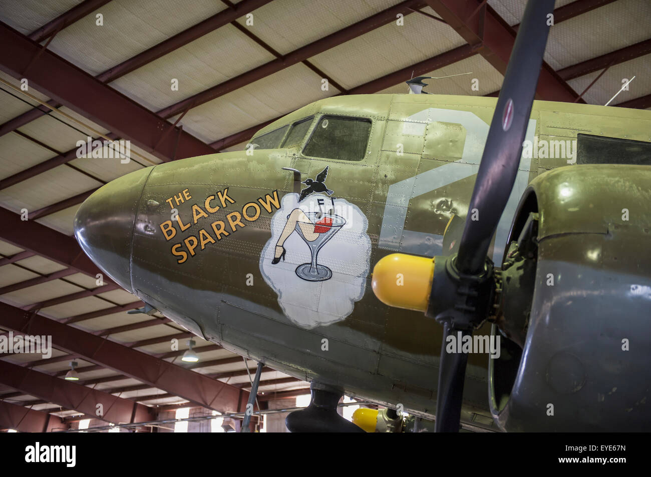 Aircraft Collection On Static Display At The American Airpower Heritage ...