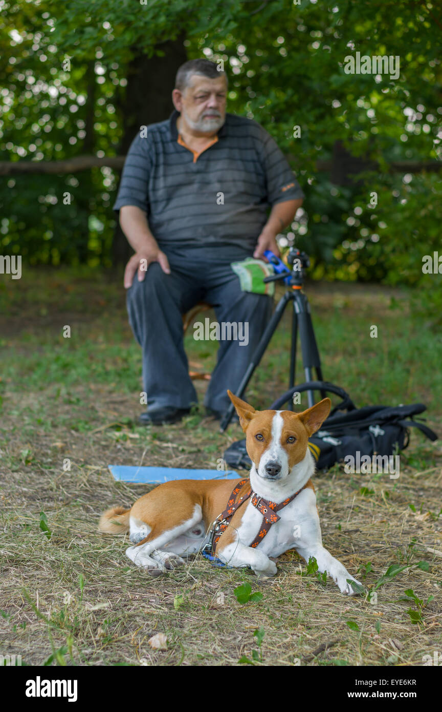 Outdoor portrait of basenji dog and its master resting under tree ...
