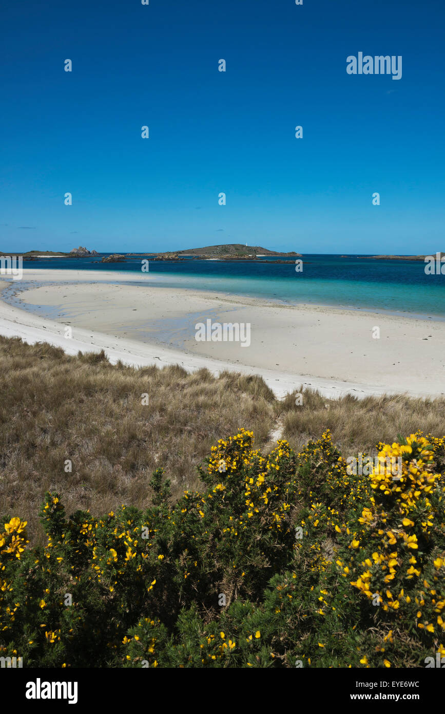 Pentle Bay, One Of Britain's Top 20 Beaches. Tresco. Isles Of Scilly ...