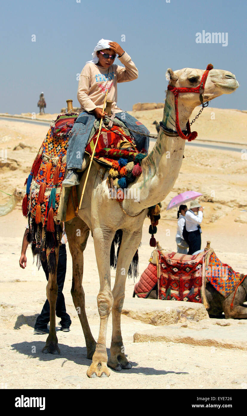 Camel horse riding hi-res stock photography and images - Alamy