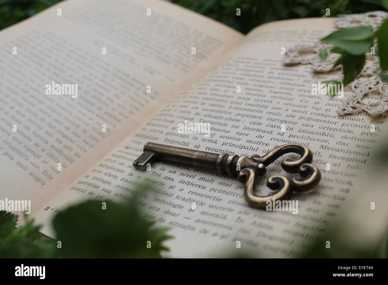 Key on leaves hi-res stock photography and images - Alamy