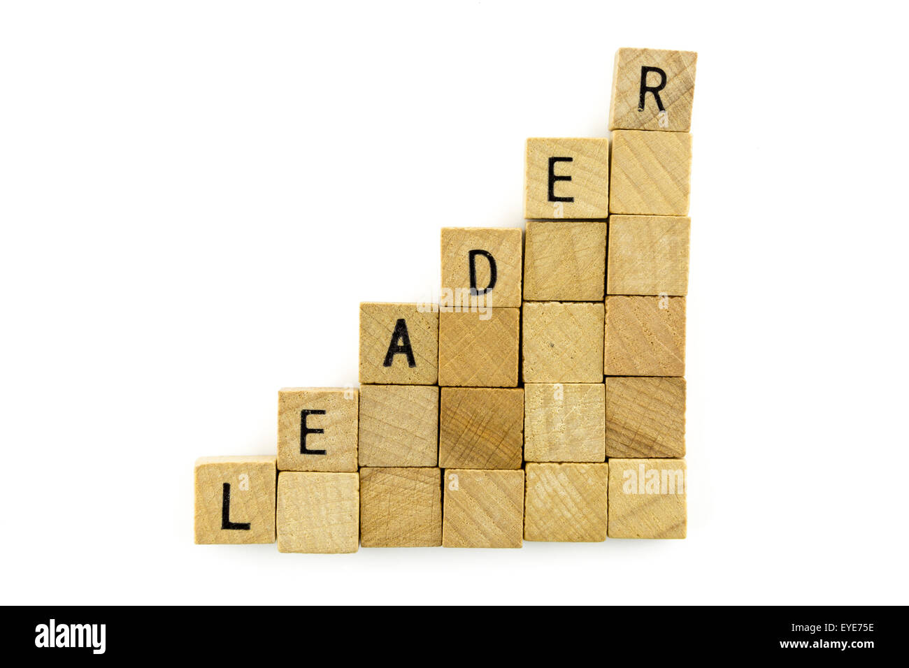 LEADER word wooden alphabet blocks on white background from top view ...