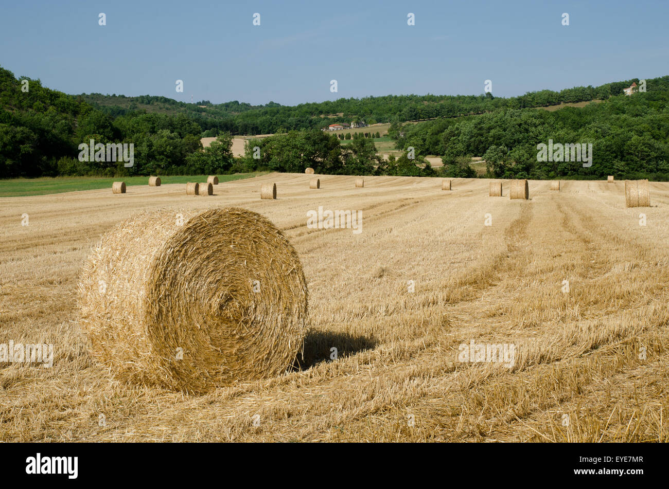 Hay bales in a French field Stock Photo - Alamy