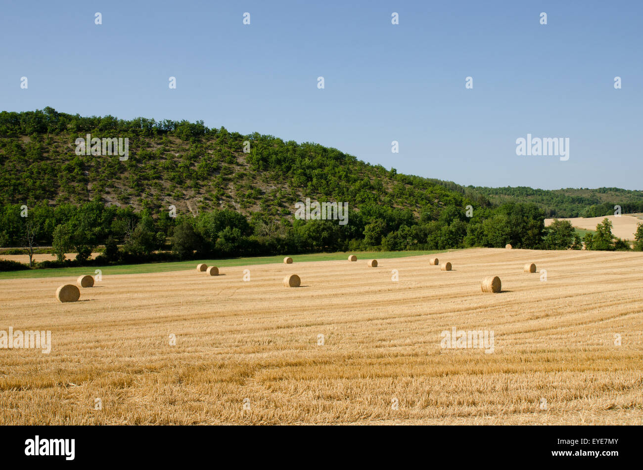 French field hi-res stock photography and images - Alamy
