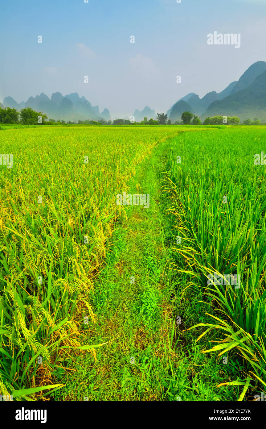 Beautiful Li river side Karst vertical landscape in Yangshuo Guilin ...