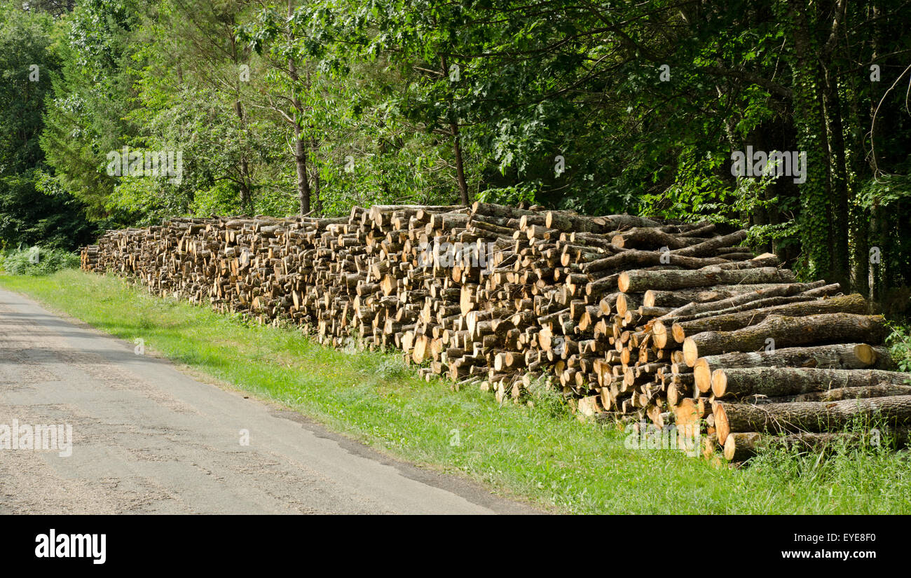 Stack of logs by the side of the road Stock Photo - Alamy