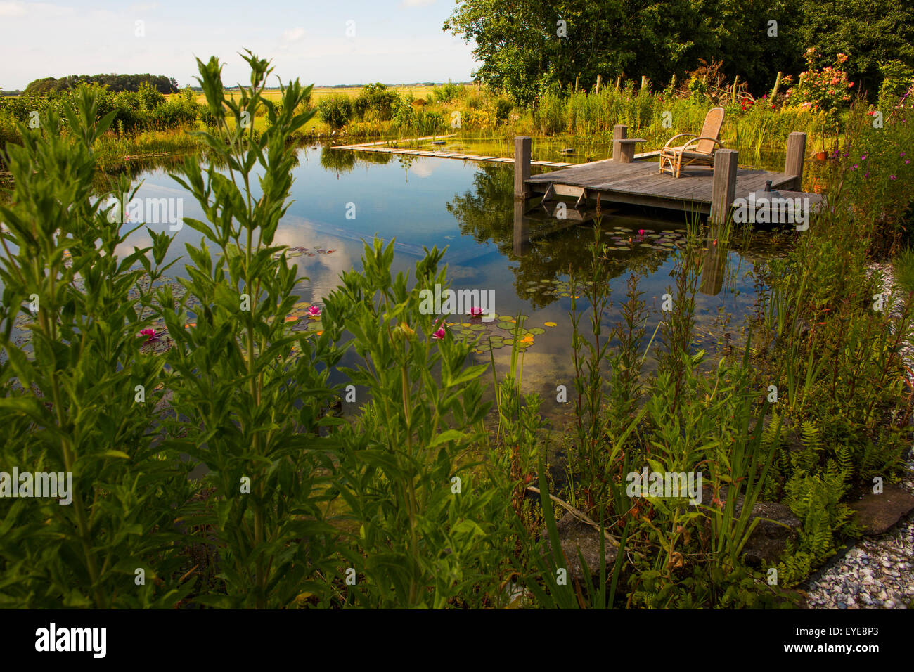 natural pool for recreation Stock Photo - Alamy