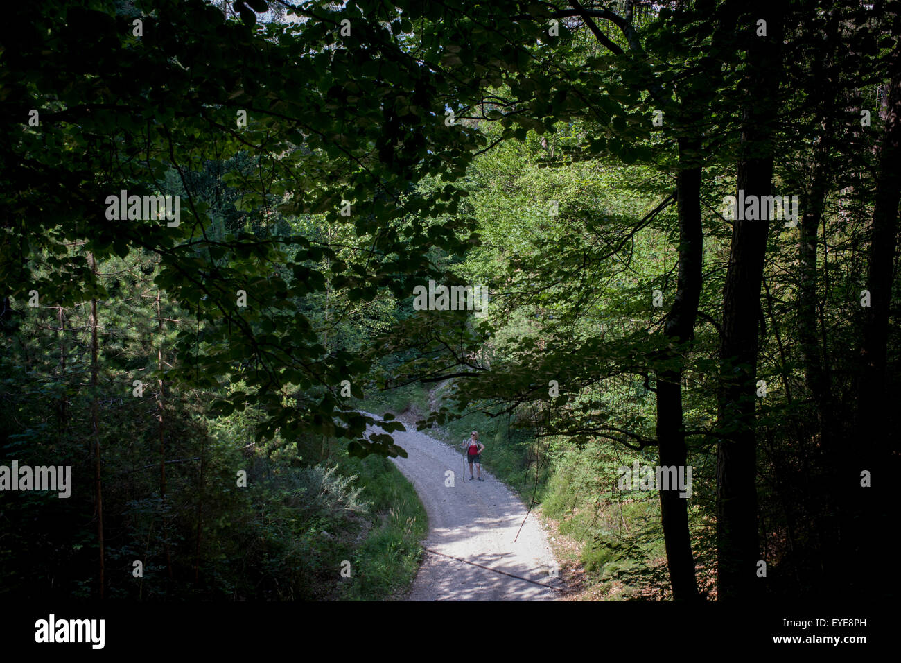 Lone path hi-res stock photography and images - Alamy