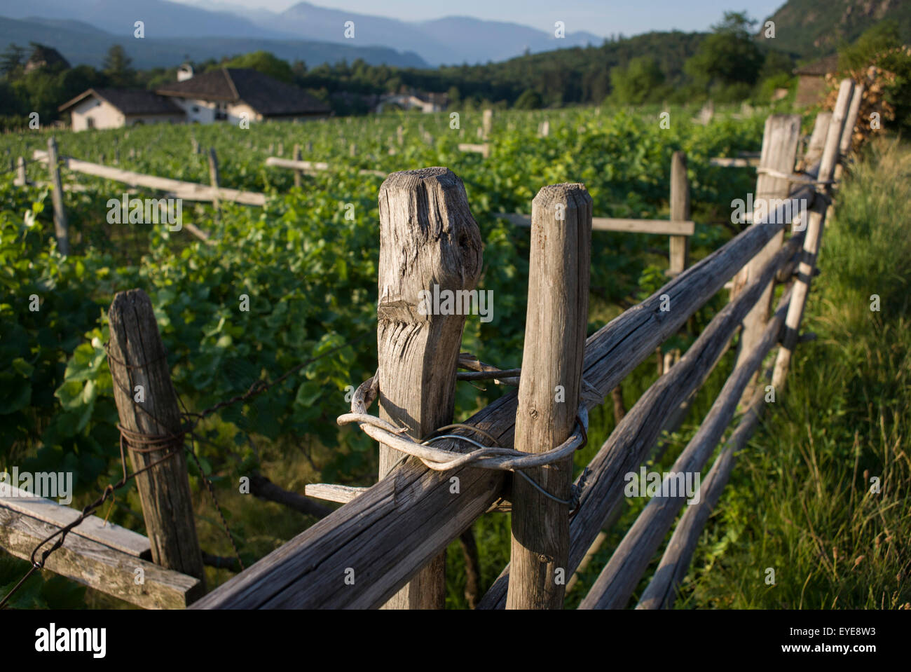 Traditional fencing hi-res stock photography and images - Alamy