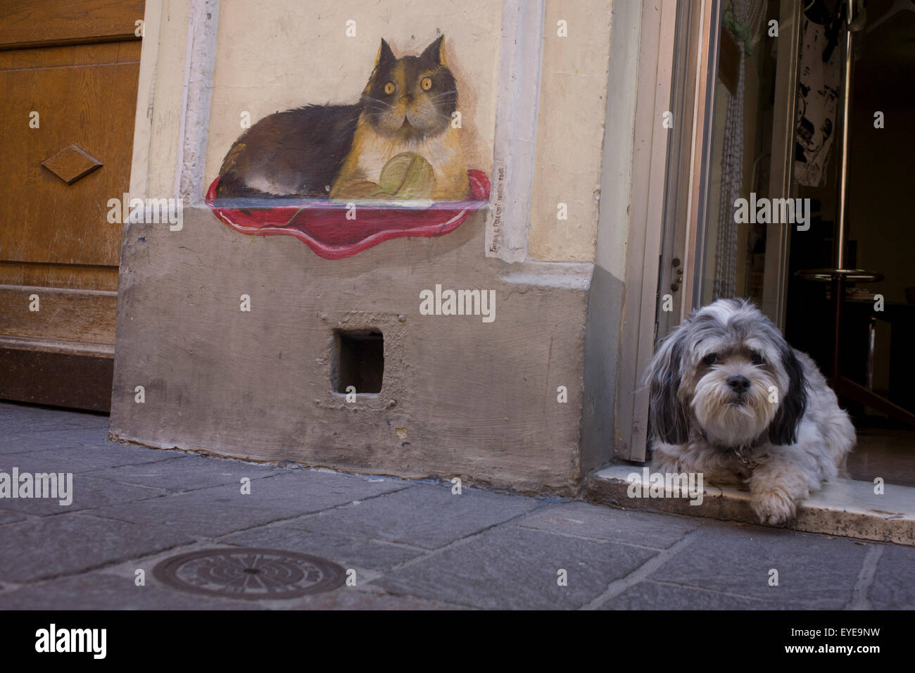 Cat drawing hi-res stock photography and images - Alamy