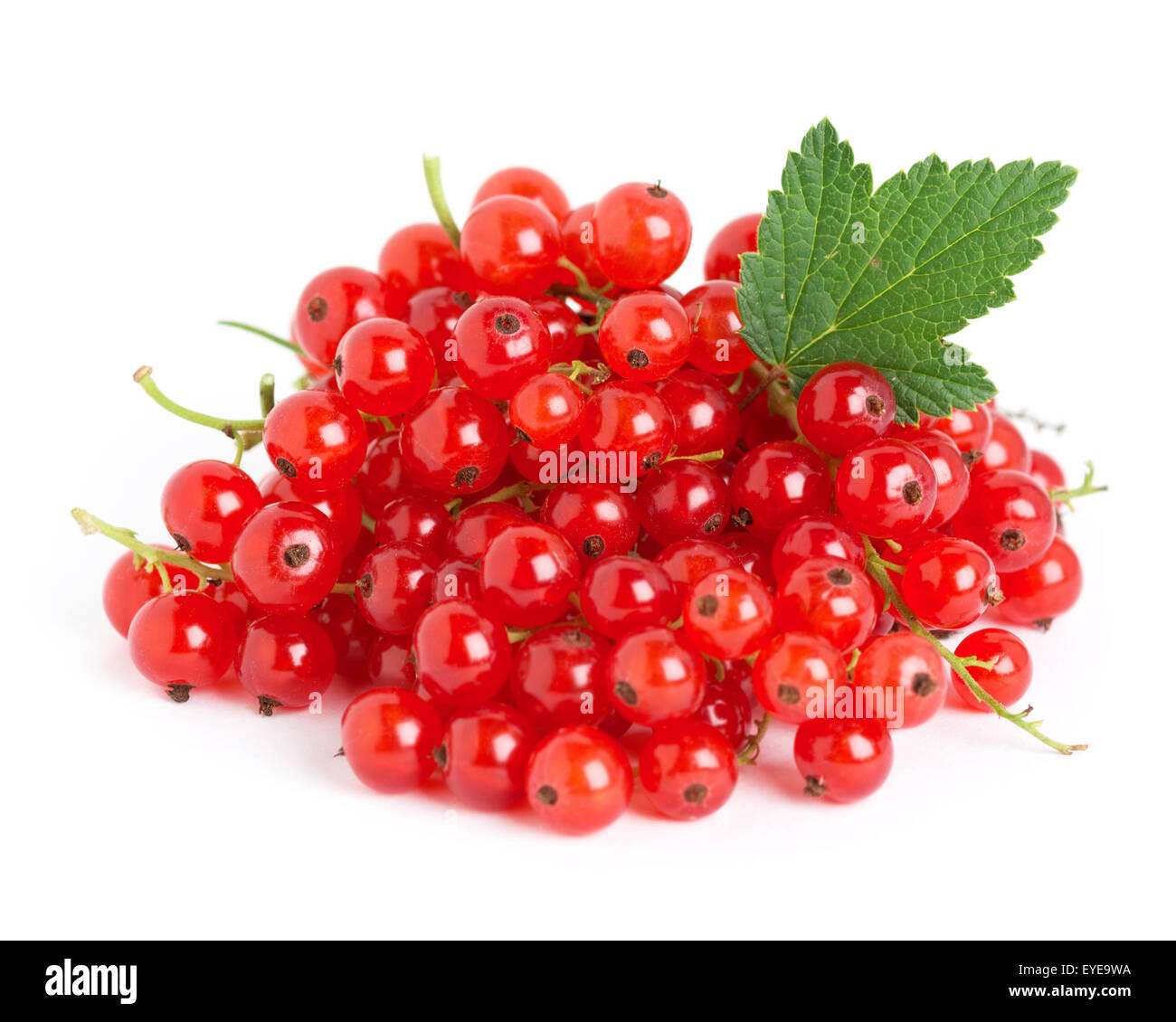 Red currants on white background Stock Photo - Alamy