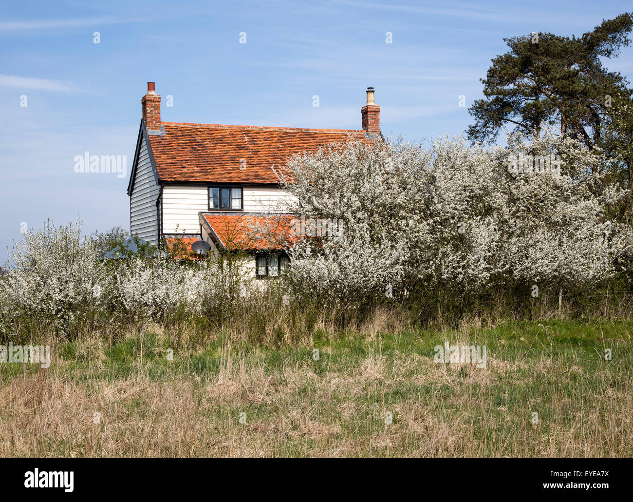 Detached cottage and rural england hi-res stock photography and images ...