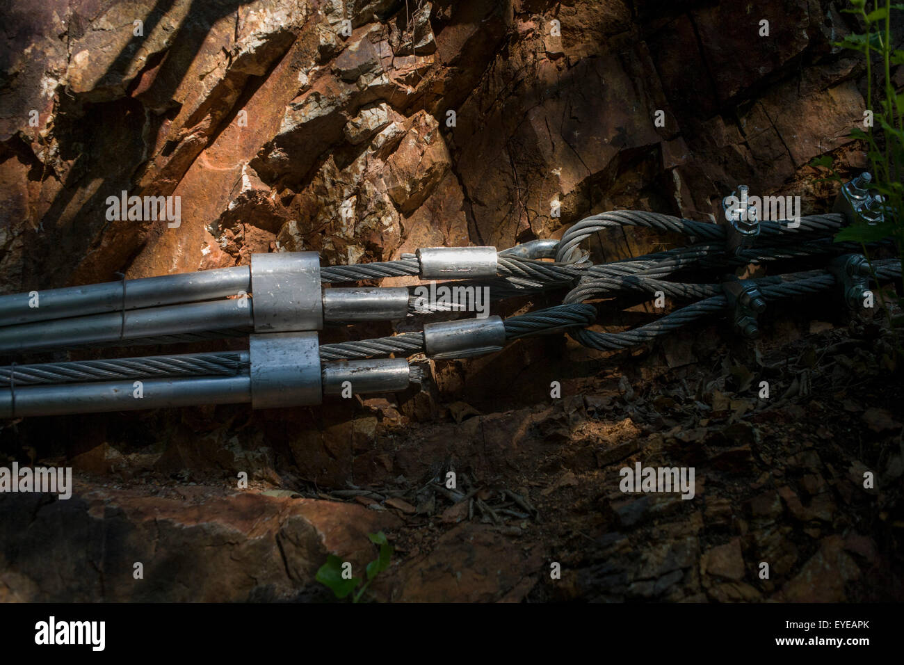 Steel traps hi-res stock photography and images - Alamy