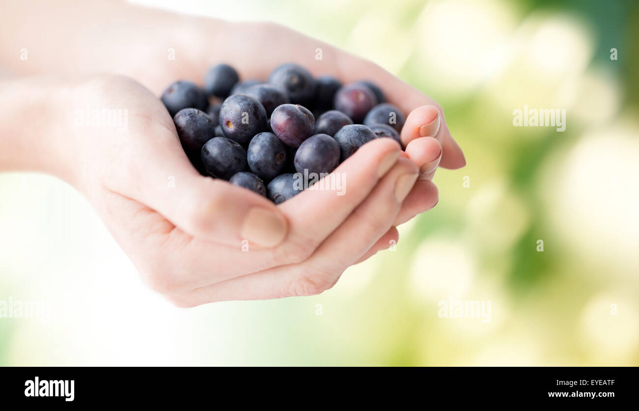 Hands holding blueberries hi-res stock photography and images - Alamy