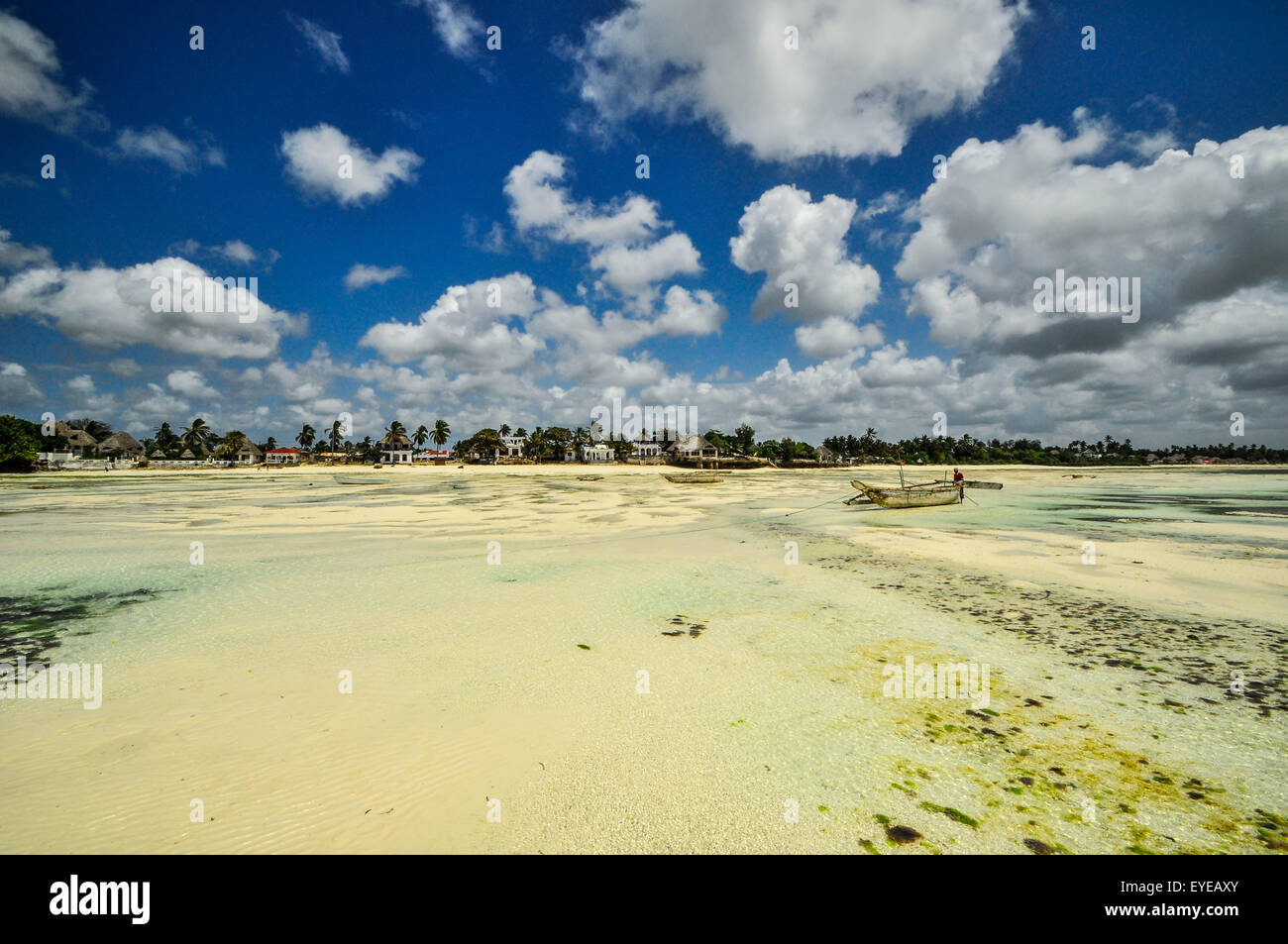 Zanzibar beach and coral rocks bule green ozean Tanzania Stock Photo ...