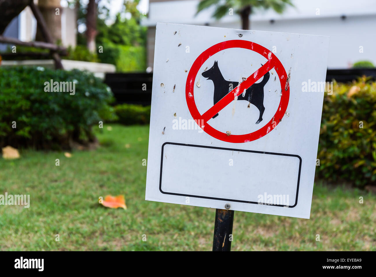 Blank no pet sign at park Stock Photo - Alamy