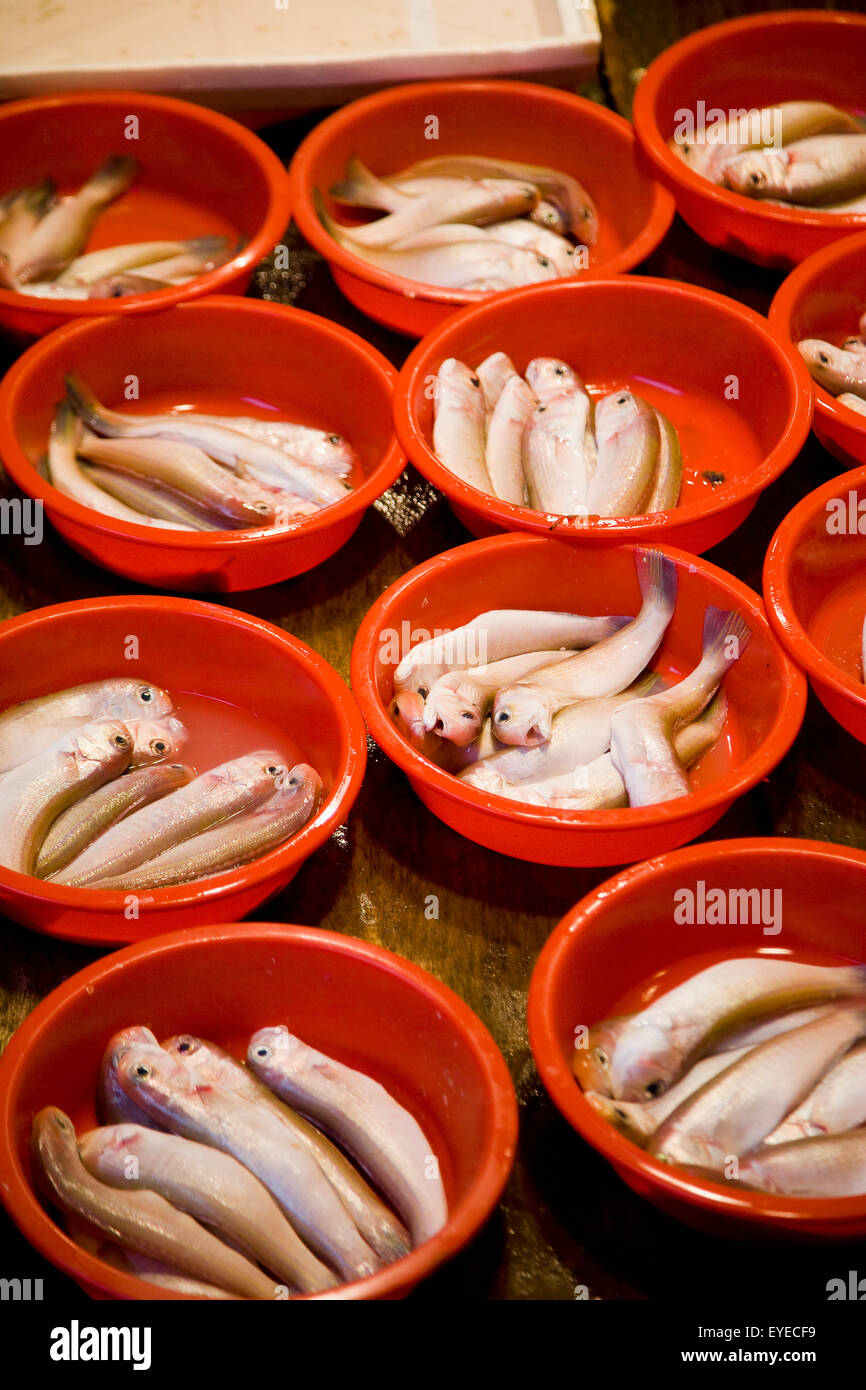 China, Hong Kong, Fresh fish at Mong Kok covered market; Kowloon Stock ...