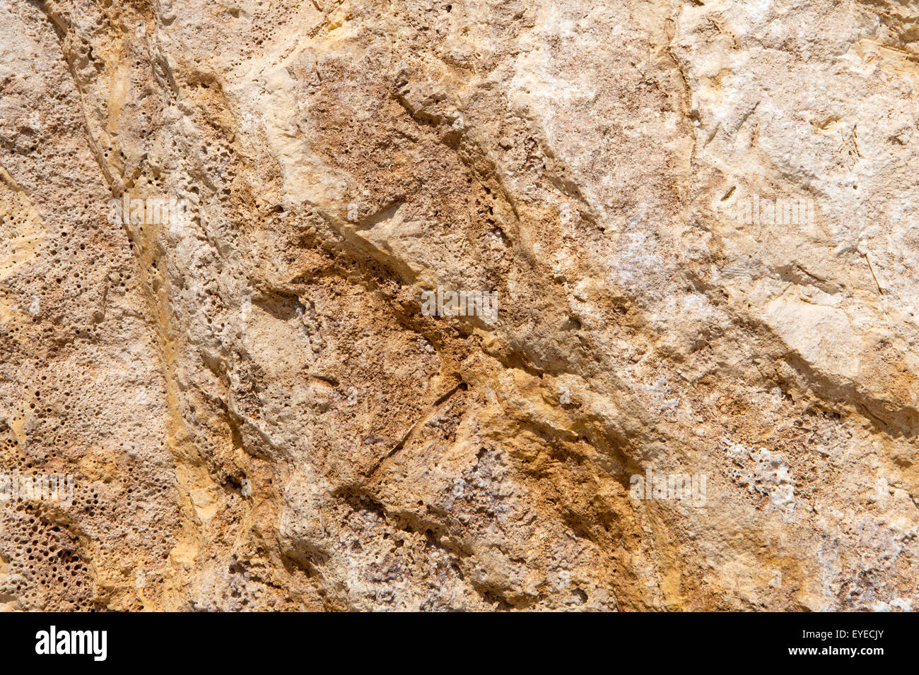 A piece of rough limestone Stock Photo - Alamy