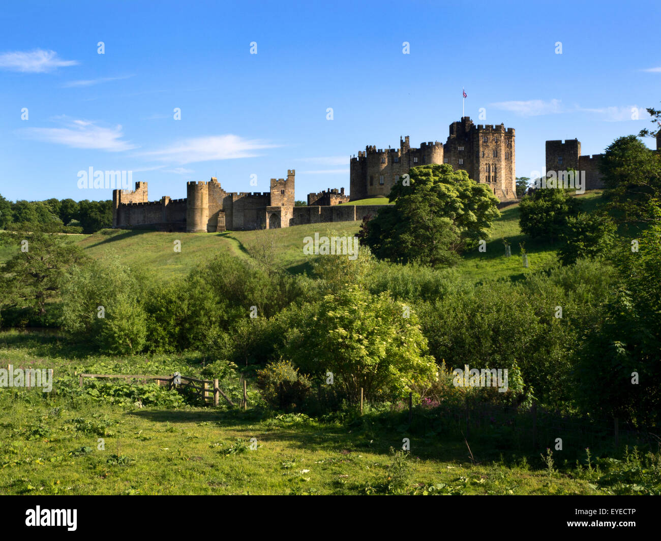 Lion bridge, alnwick hi-res stock photography and images - Alamy