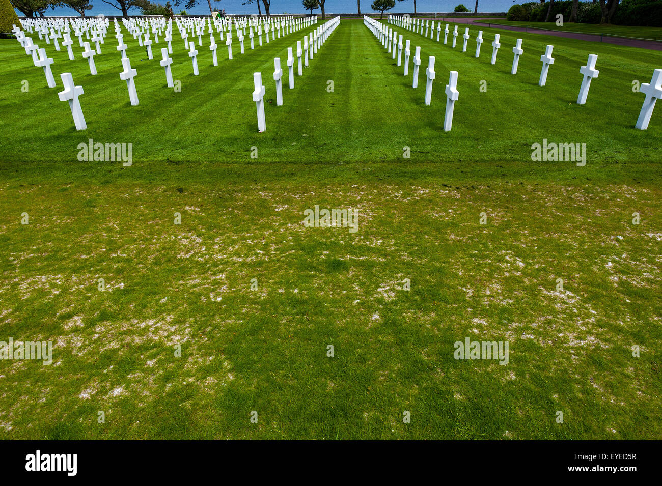 Normandy American Cemetery High Resolution Stock Photography and Images ...