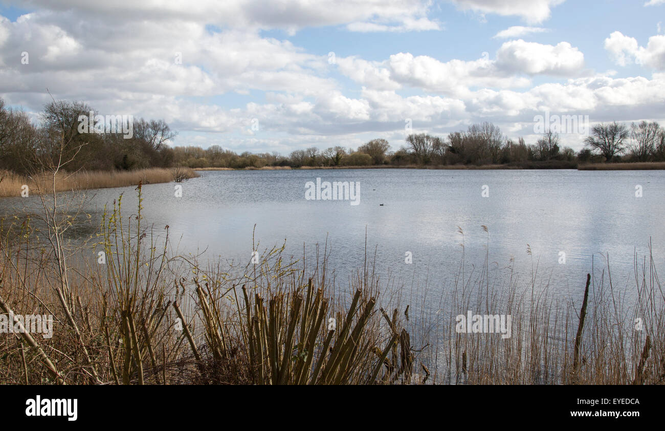Cotswold water park, Cerney Wick, Cirencester, Gloucestershire, England ...