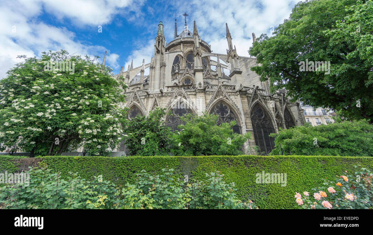 The rear view of the Notre Dame Cathedral in Paris Stock Photo - Alamy