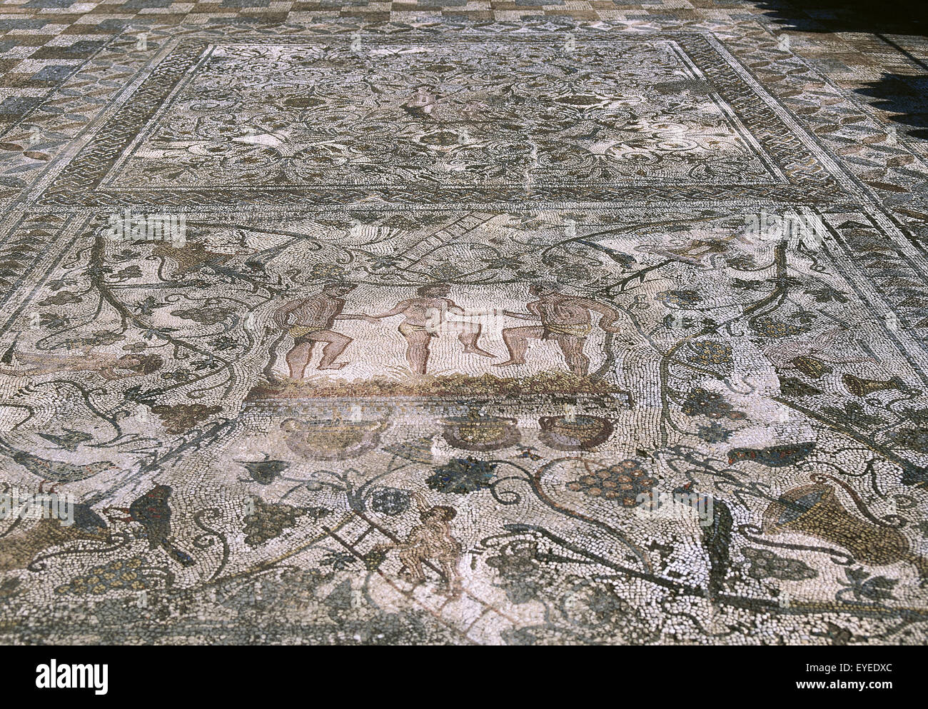 Ancient Roman Wine And Grapes