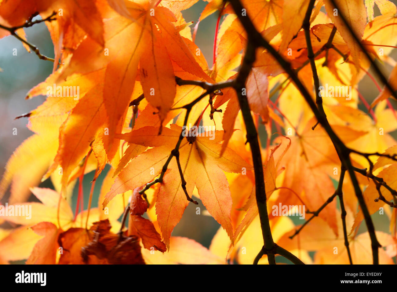 Turning colour hi-res stock photography and images - Alamy