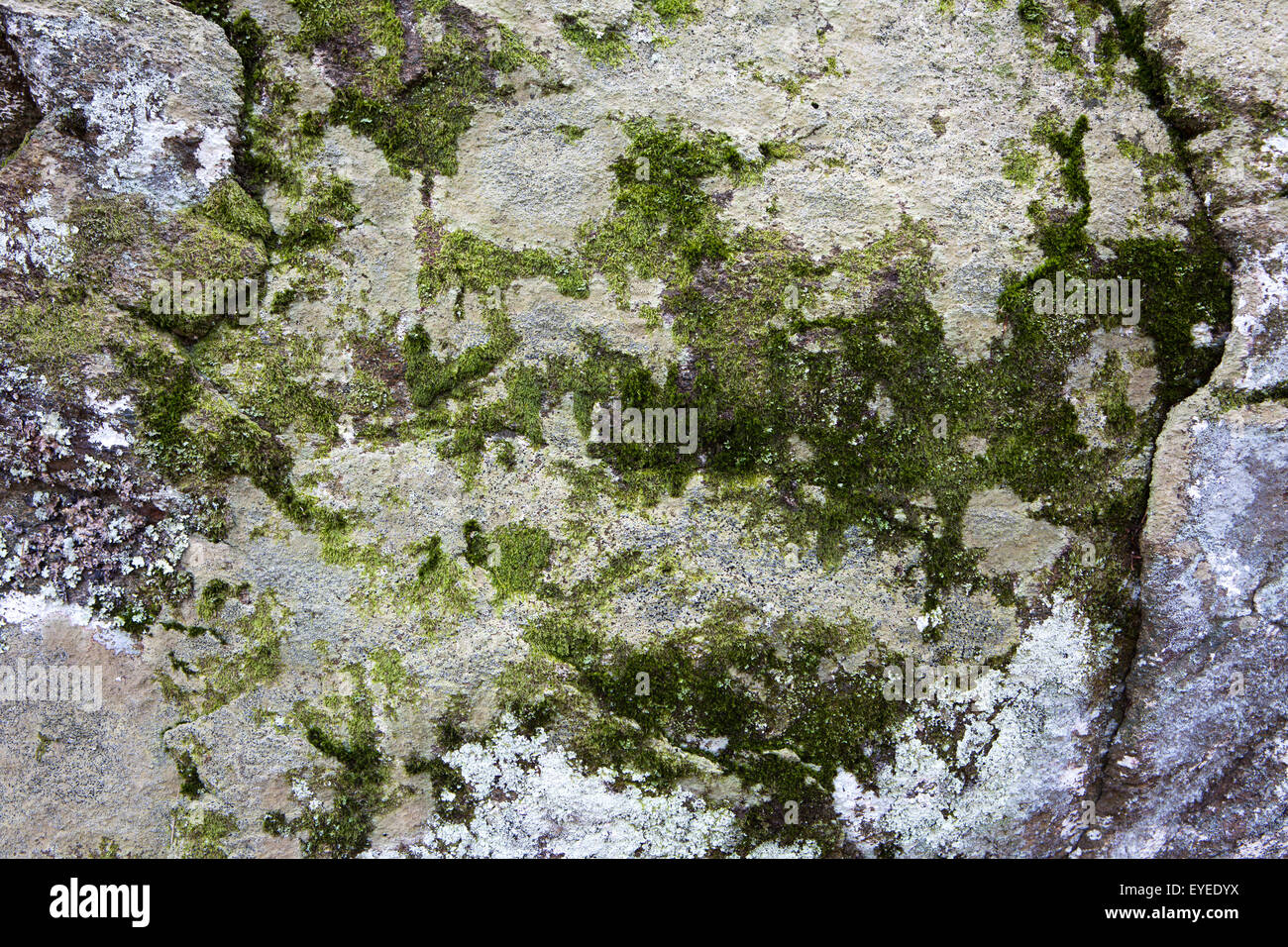 Moss covered stone textures hi-res stock photography and images - Alamy