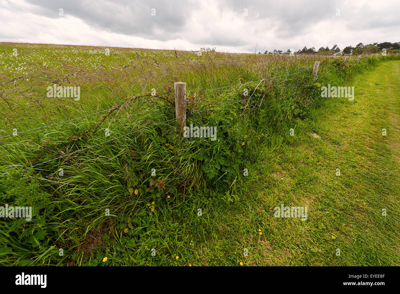 Normandy countryside farm hi-res stock photography and images - Alamy