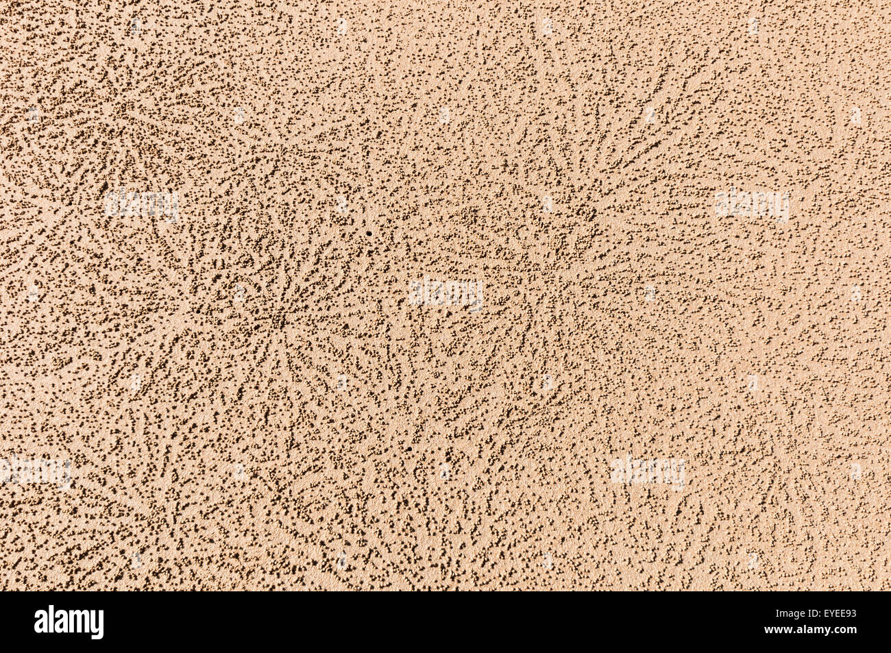 closeup of sand pattern of a beach in the summer Stock Photo - Alamy