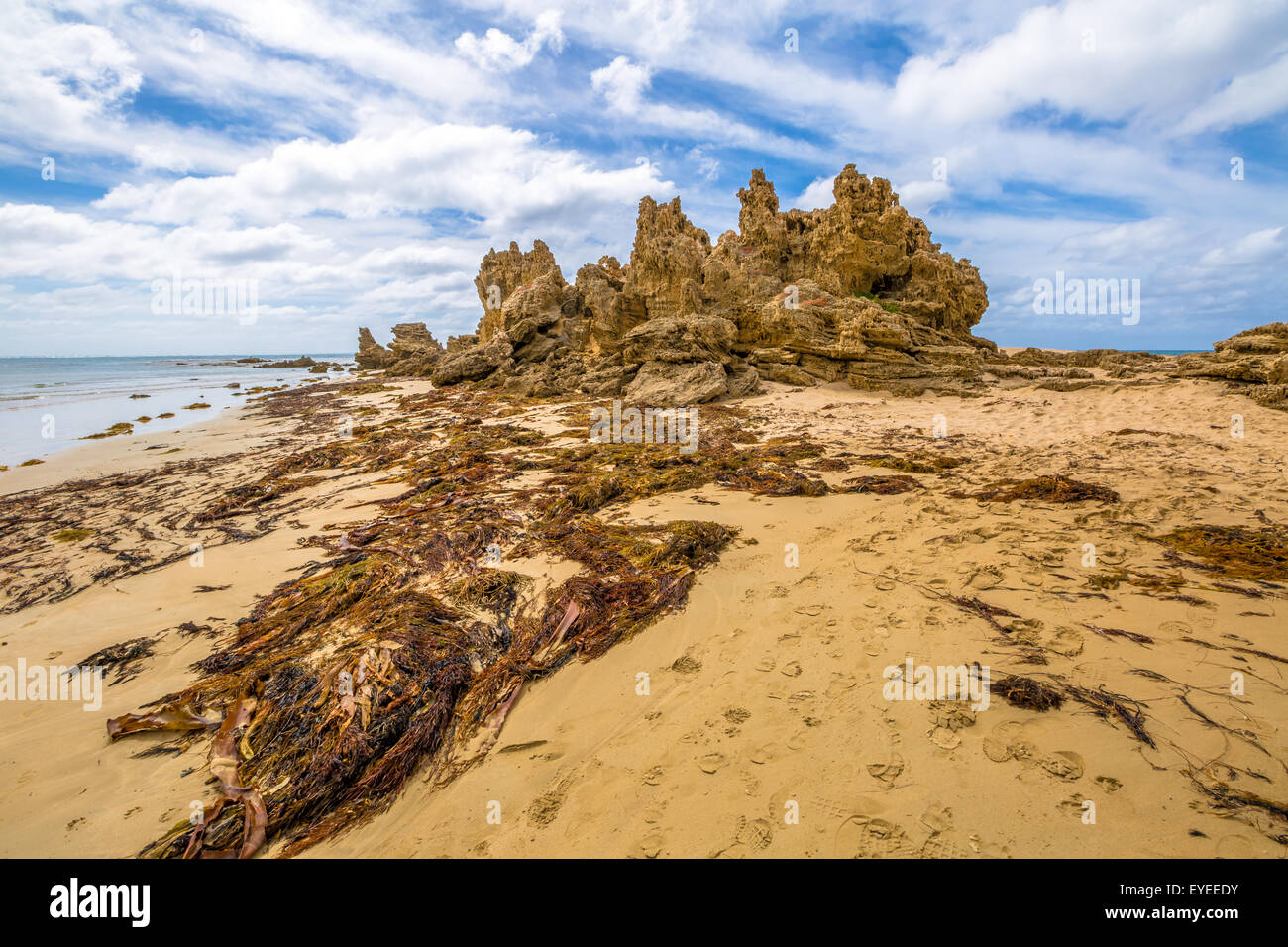 Anglesea australia hi-res stock photography and images - Alamy