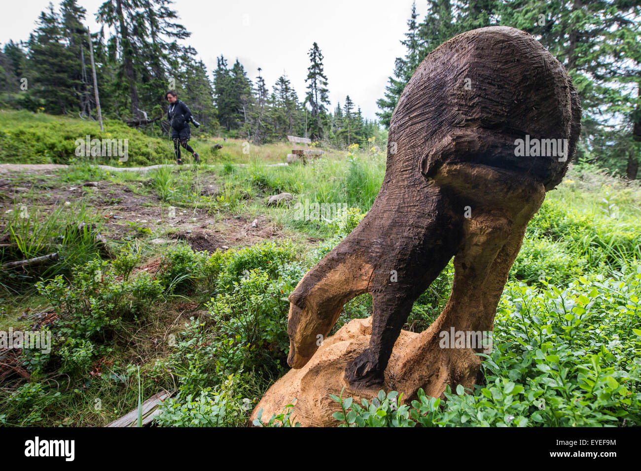 Tourists who visit the Giant Mountains at the junction between the ...