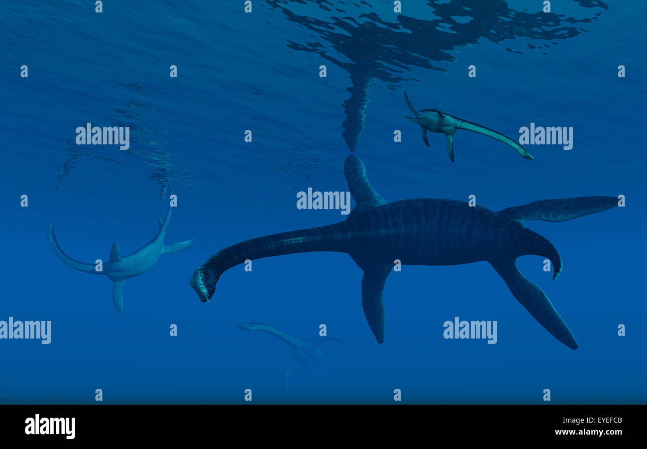 Plesiosaurs Swimming Underwater Stock Photo - Alamy