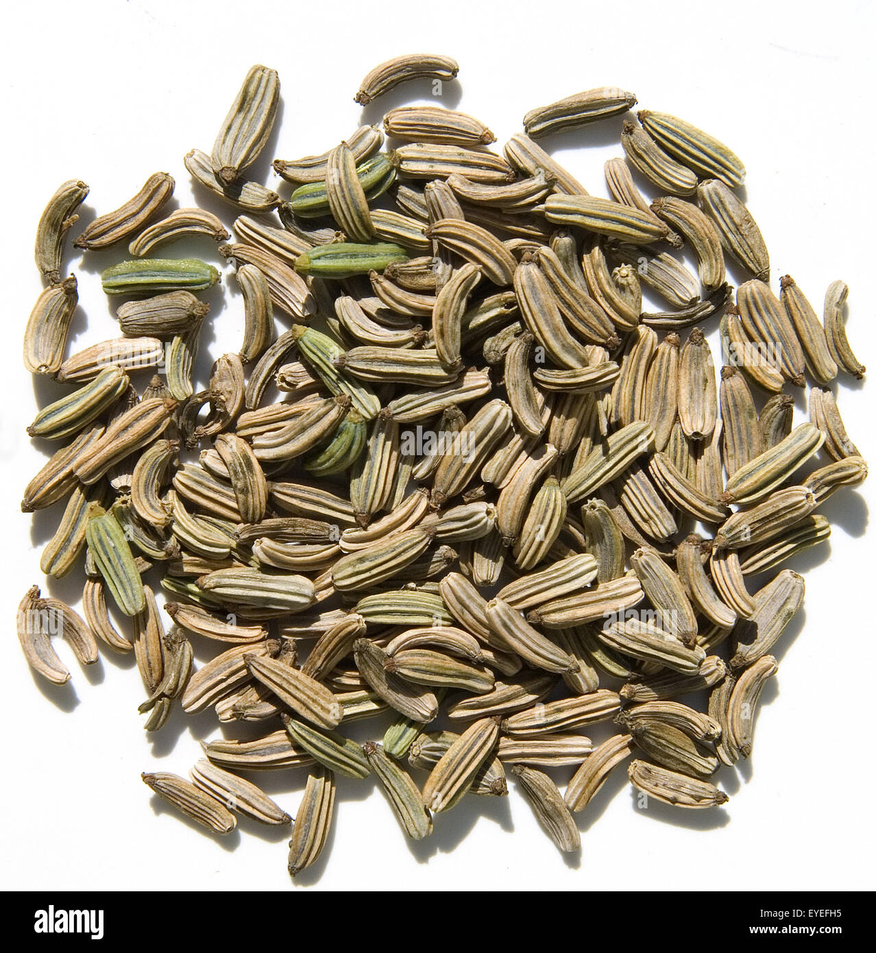 Fenchelsamen hi-res stock photography and images - Alamy
