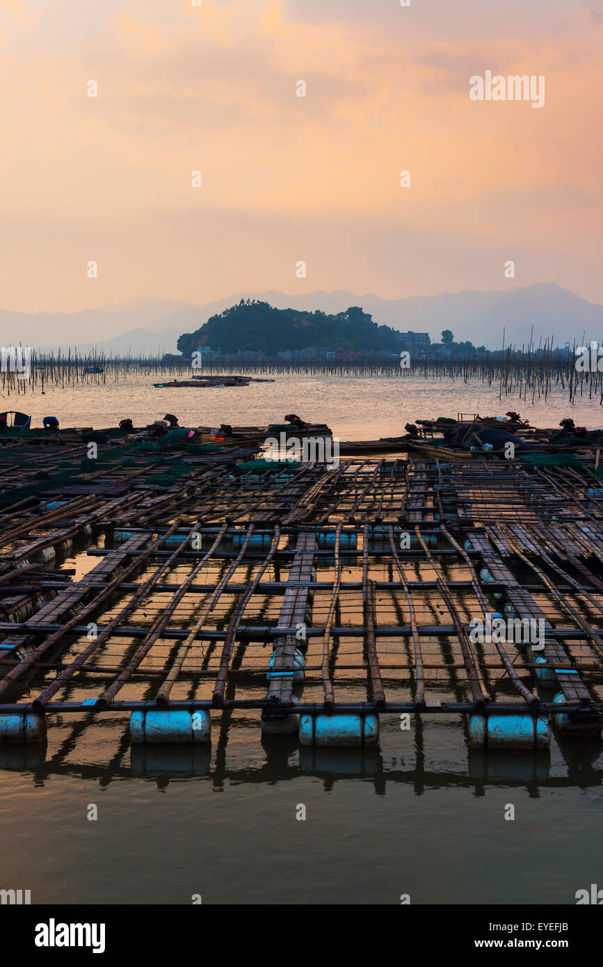 A structure made by posts and ropes to hang fishing nets; Xiapu, Fujian ...