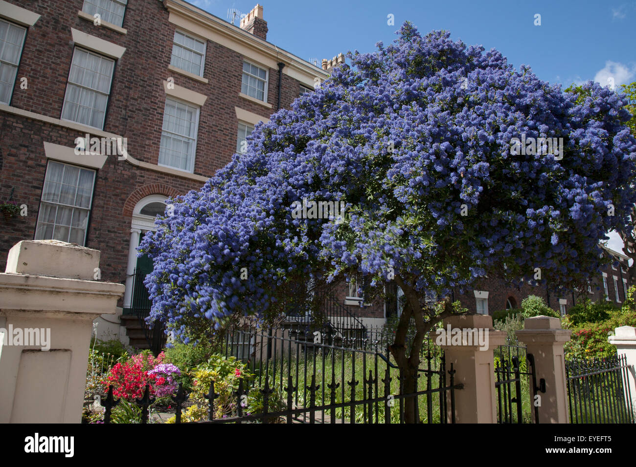 Housing on Falkner Street, Toxteth, Liverpool, England, UK Stock Photo ...