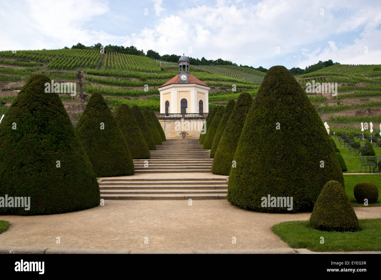 Winery Wackerbarth Castle in Radebeul near Dresden, Germany Stock Photo ...