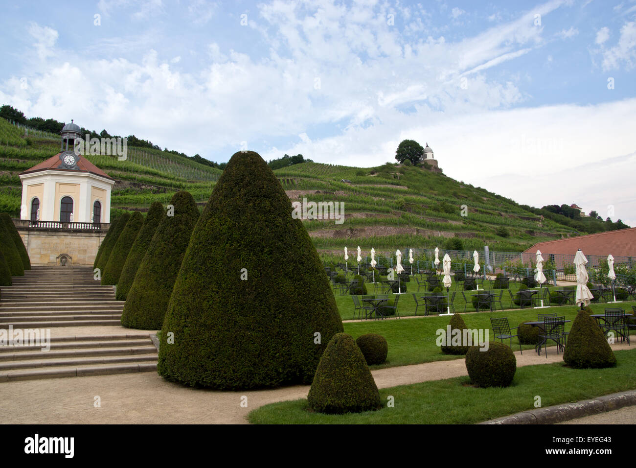 Winery Wackerbarth Castle in Radebeul near Dresden, Germany Stock Photo ...