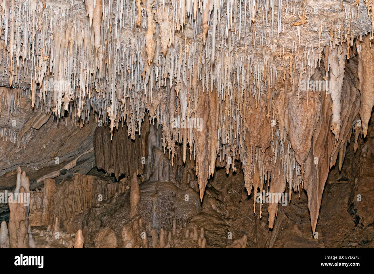 Stalactites and stalagmites in limestone cave Stock Photo - Alamy