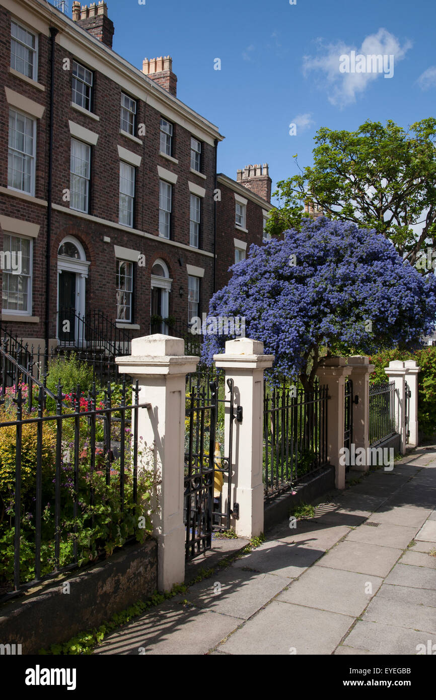 Toxteth liverpool hi-res stock photography and images - Alamy