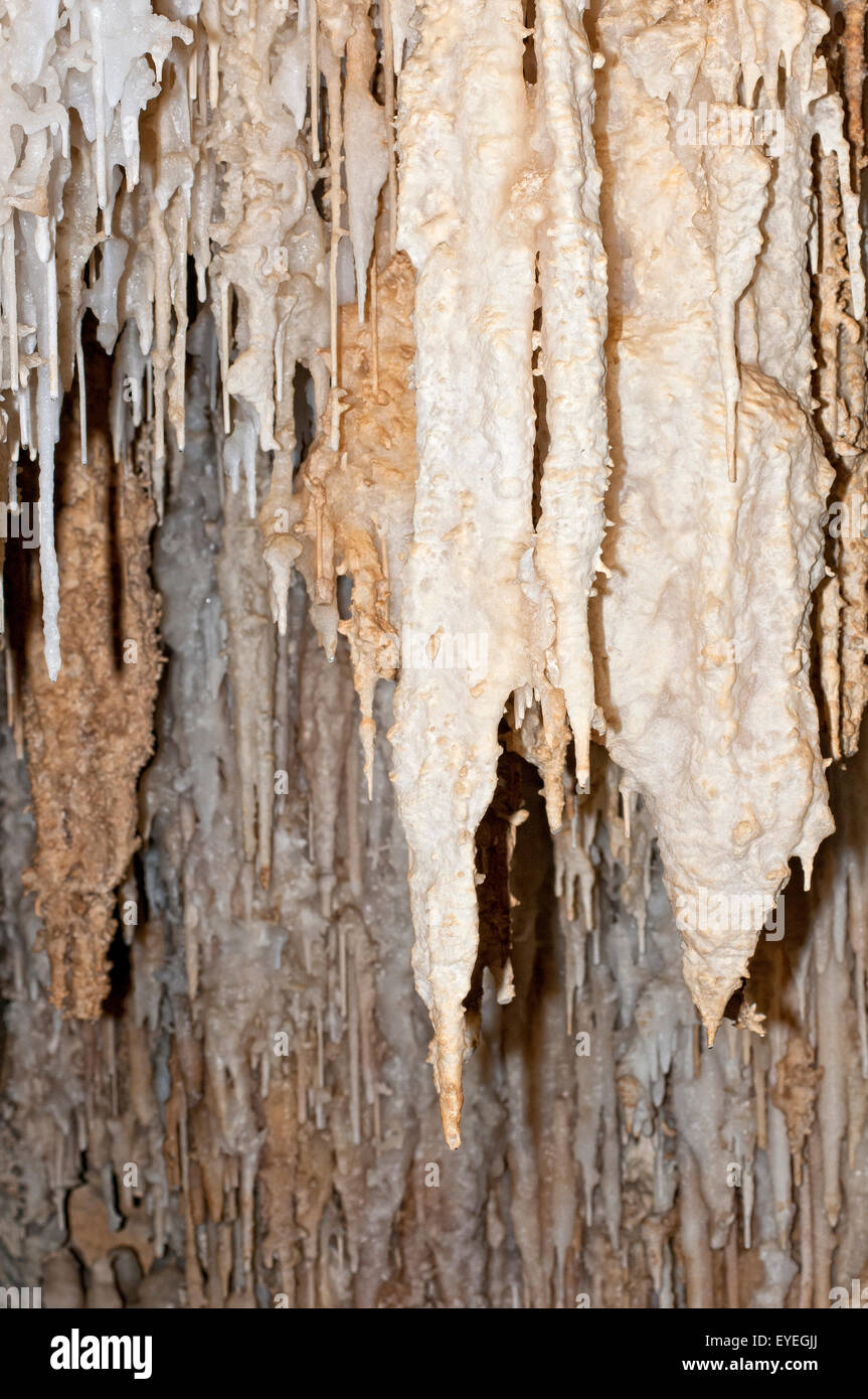 Stalactites and stalagmites in limestone cave Stock Photo - Alamy