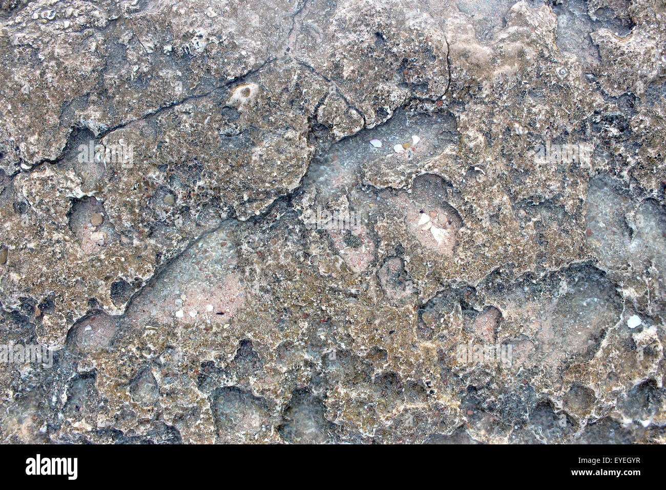 Wet stone sea coast in the background Stock Photo - Alamy