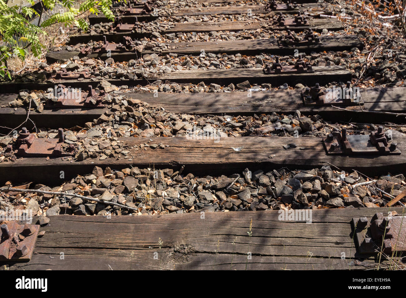Overgrown railway track hi-res stock photography and images - Alamy