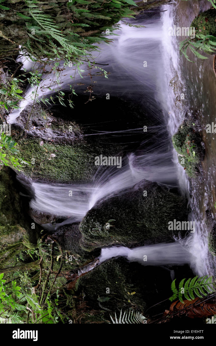 Te Wairoa New Zealand High Resolution Stock Photography and Images - Alamy