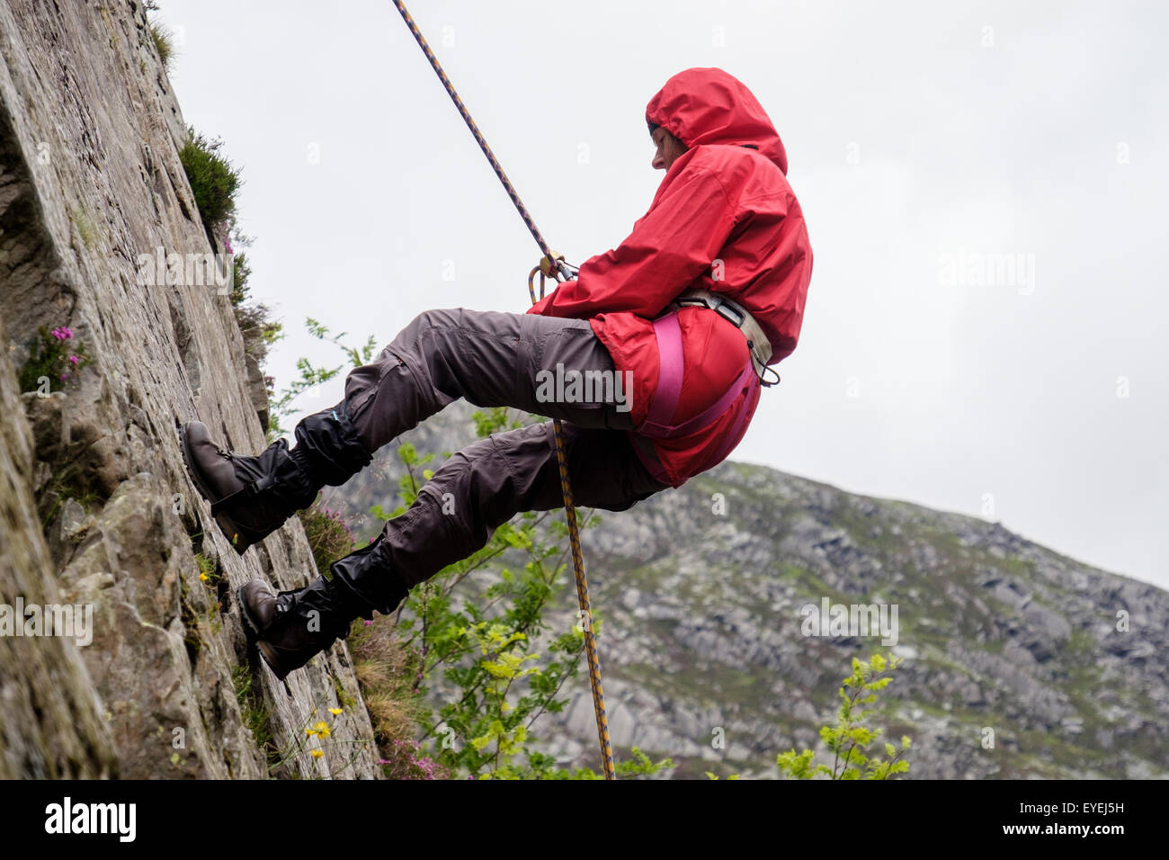 Female rock climber abseiling with safety rope and climbing harness on ...
