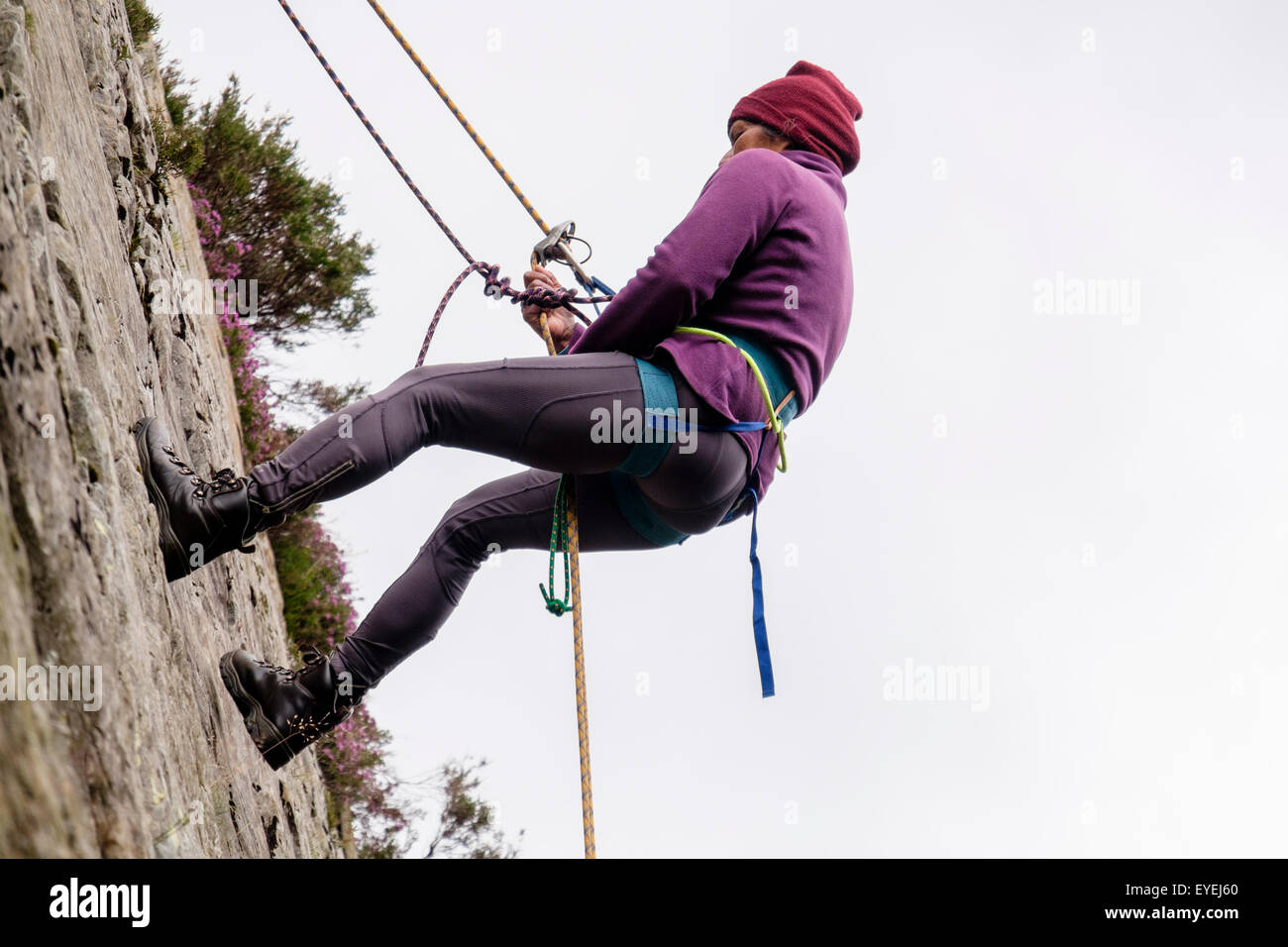 Female rock climber abseiling down with safety rope and climbing ...